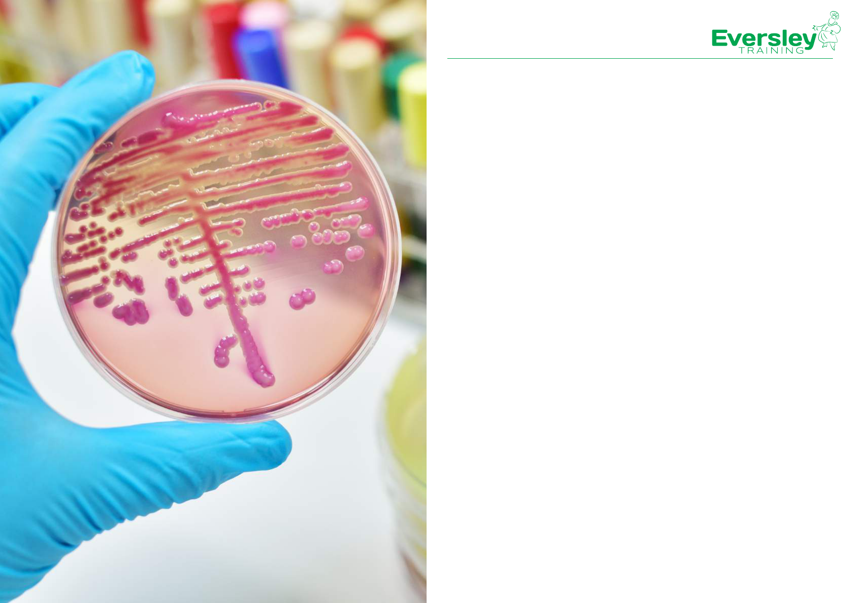 An Atmosphere, bacteria